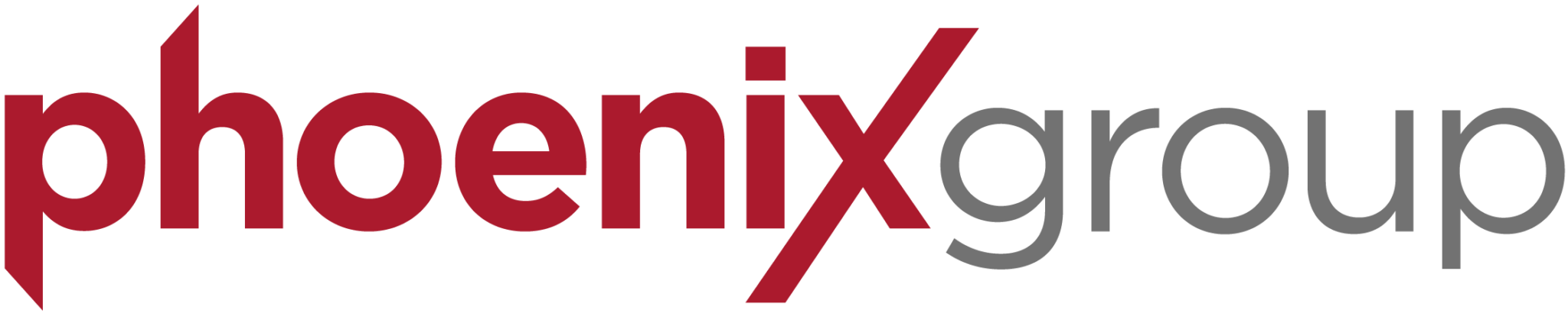 Manufacturing & Engineering Consulting Firm - The Phoenix Group